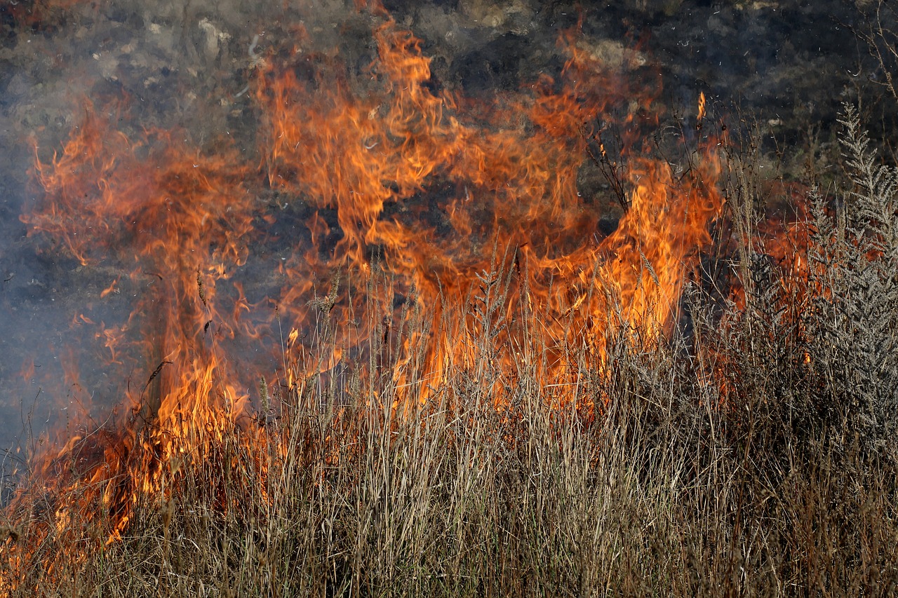 Hundreds of vegetation fires in Romania cause damages, traffic ...