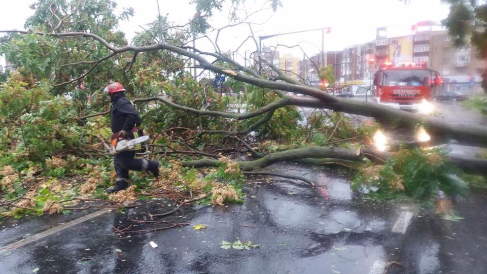 Eight people dead, almost 70 injured as storms sweep across Romania ...