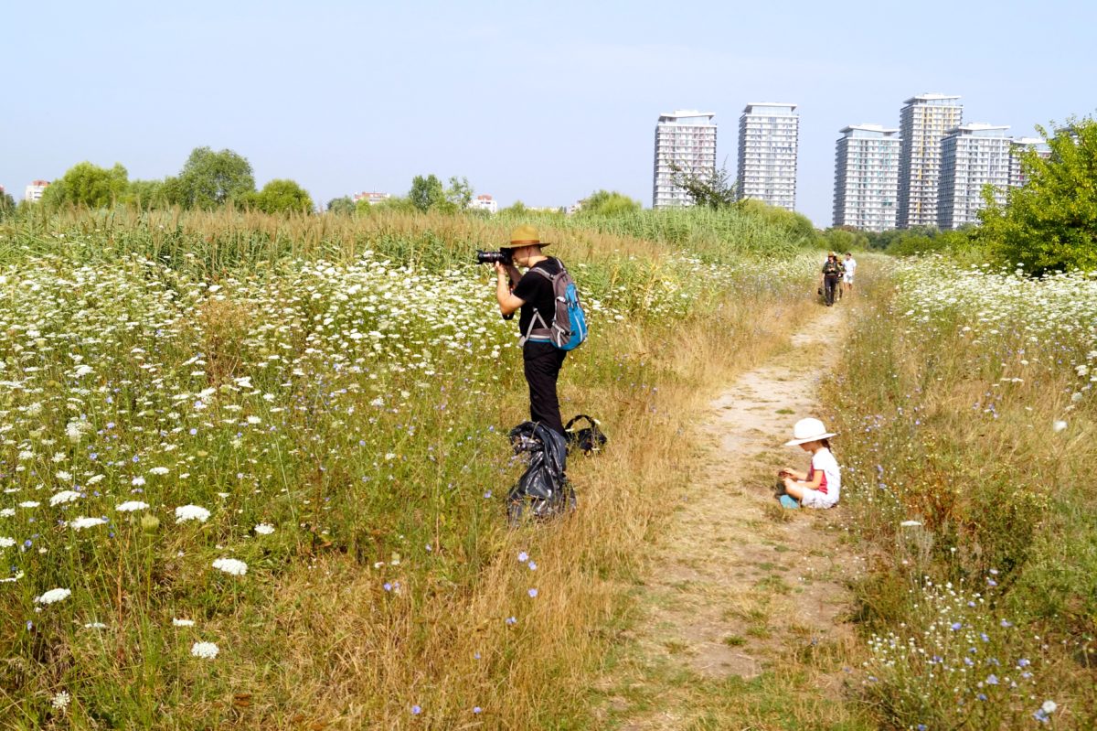 Birdwatching tours in Bucharest’s Delta this weekend | Romania Insider