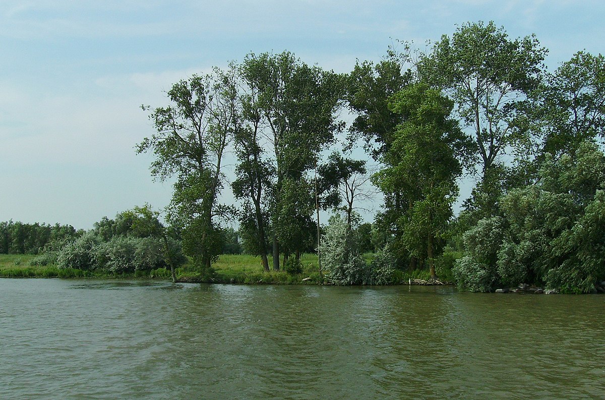Romania travel: Letea Forest in the Danube Delta | Romania Insider