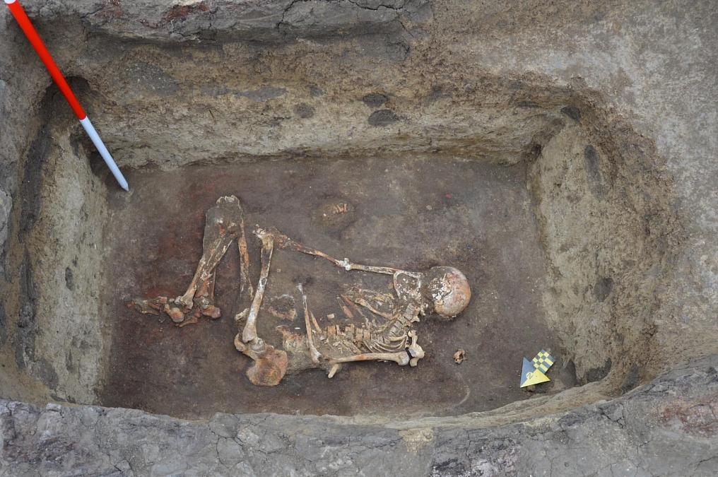 largest humanoid skeleton ever found
