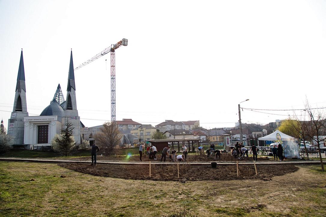 Micro forest project kicks off in Timișoara | Romania Insider