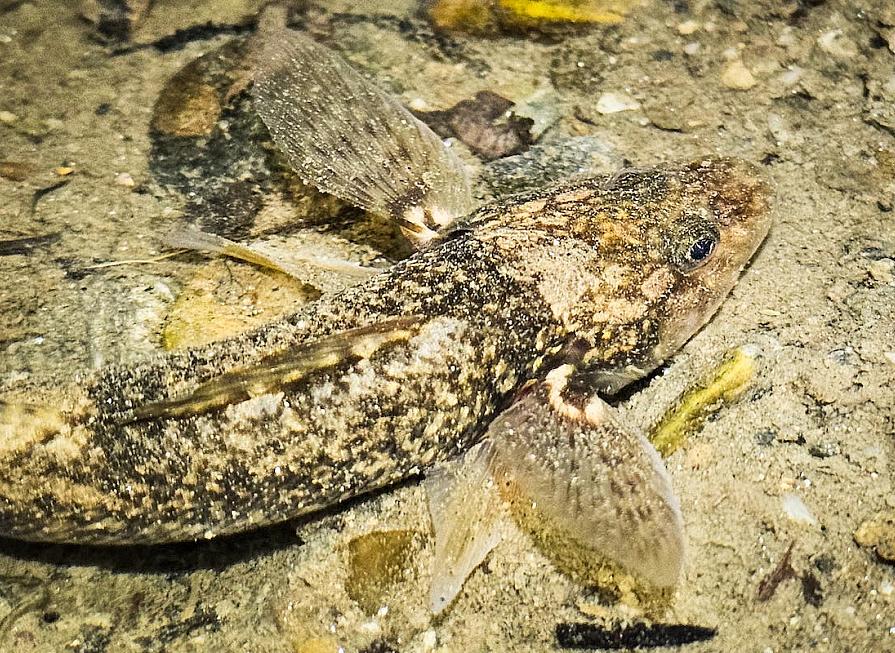 Discover RO | Romania Insider